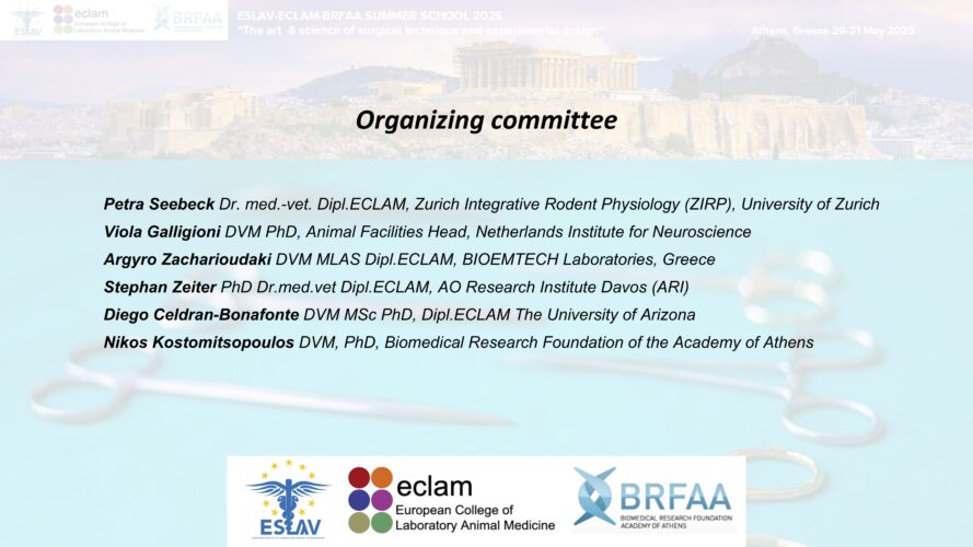 ESLAV/ECLAM Summer School