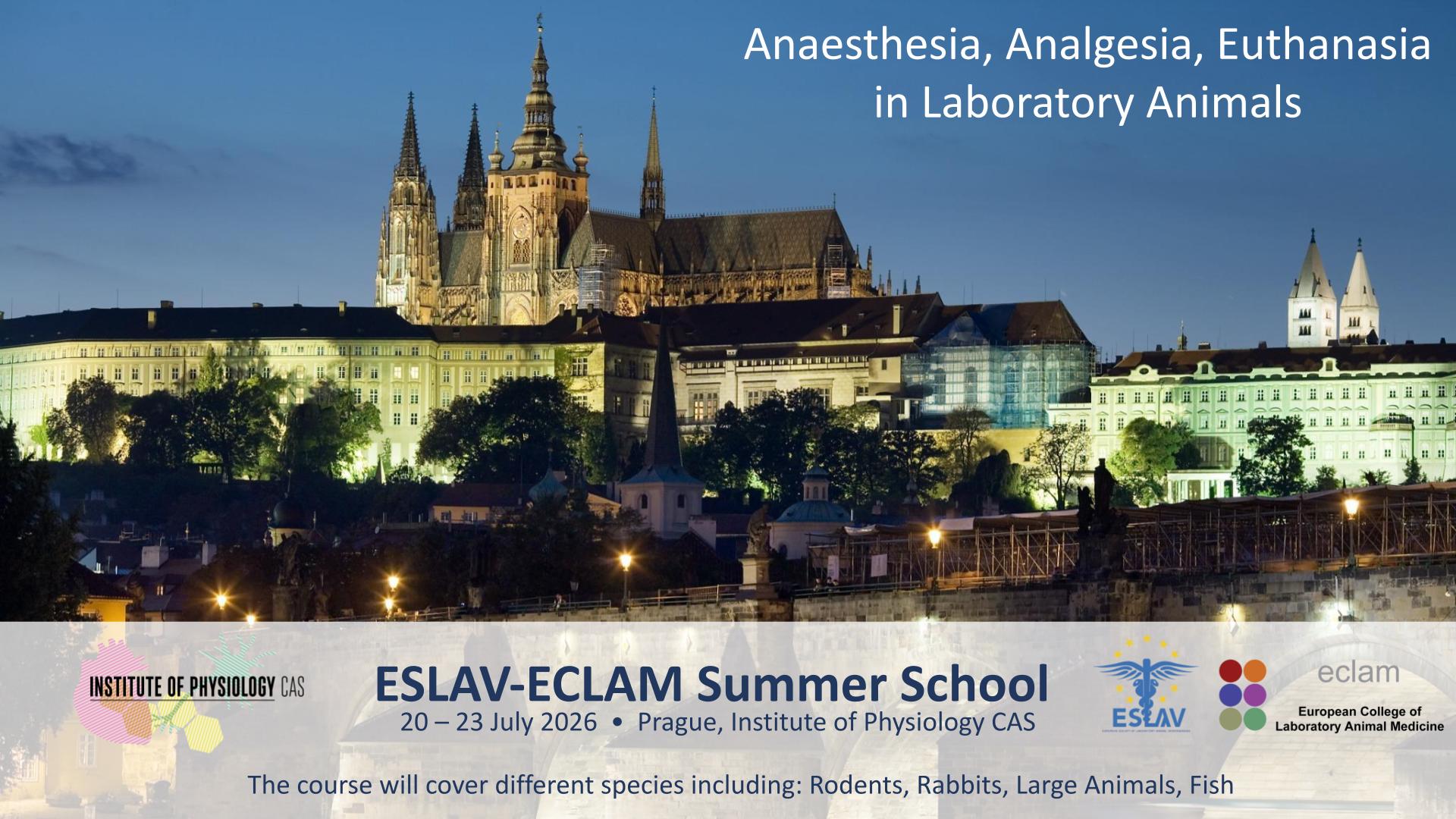 ESLAV/ECLAM Summer School
